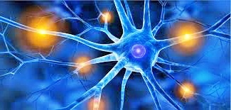 pasm-dr-rasch - Procain-Infusion